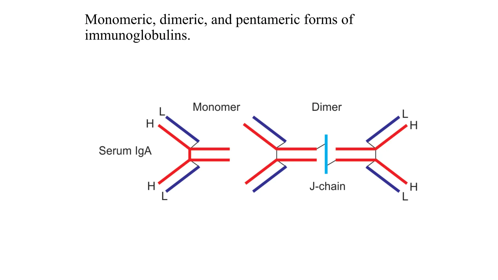 Immunoglobulins and ELISA.pdf Chapter -1 Preparation | PDF