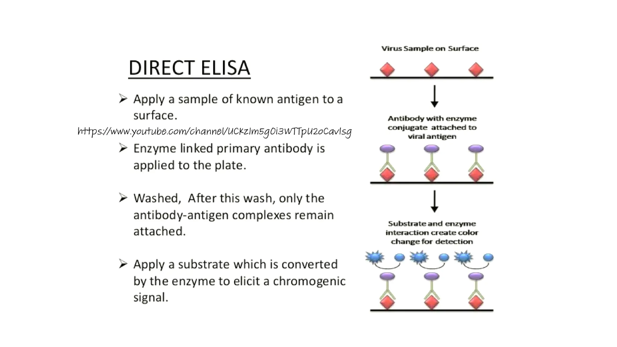 Immunoglobulins and ELISA.pdf Chapter -1 Preparation | PDF