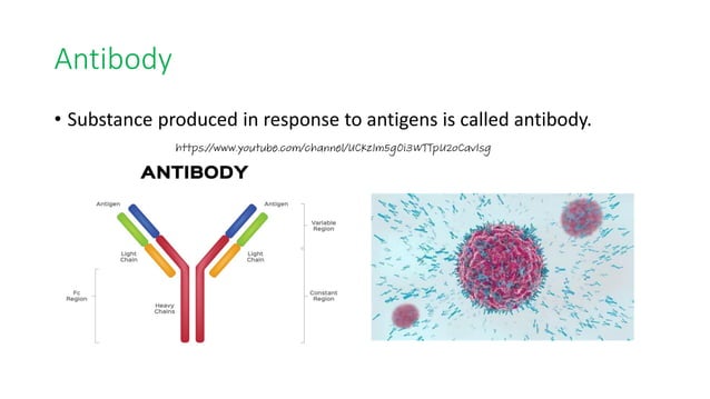 Immunoglobulins and ELISA.pdf Chapter -1 Preparation | PDF