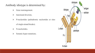 Immunoglobulins and its diversity | PPTX