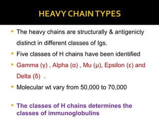 IMMUNOGLOBULINS CHEMISTRY& FUNCTIONS.ppt
