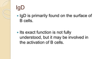 Immunoglobulins | PPTX
