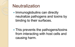 Immunoglobulins | PPTX