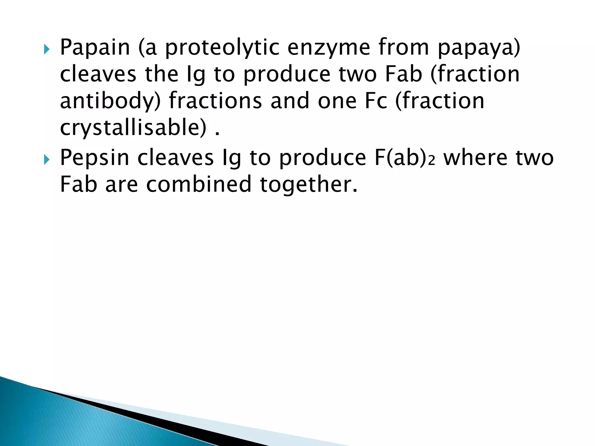 Immunoglobulins ppt.pptx