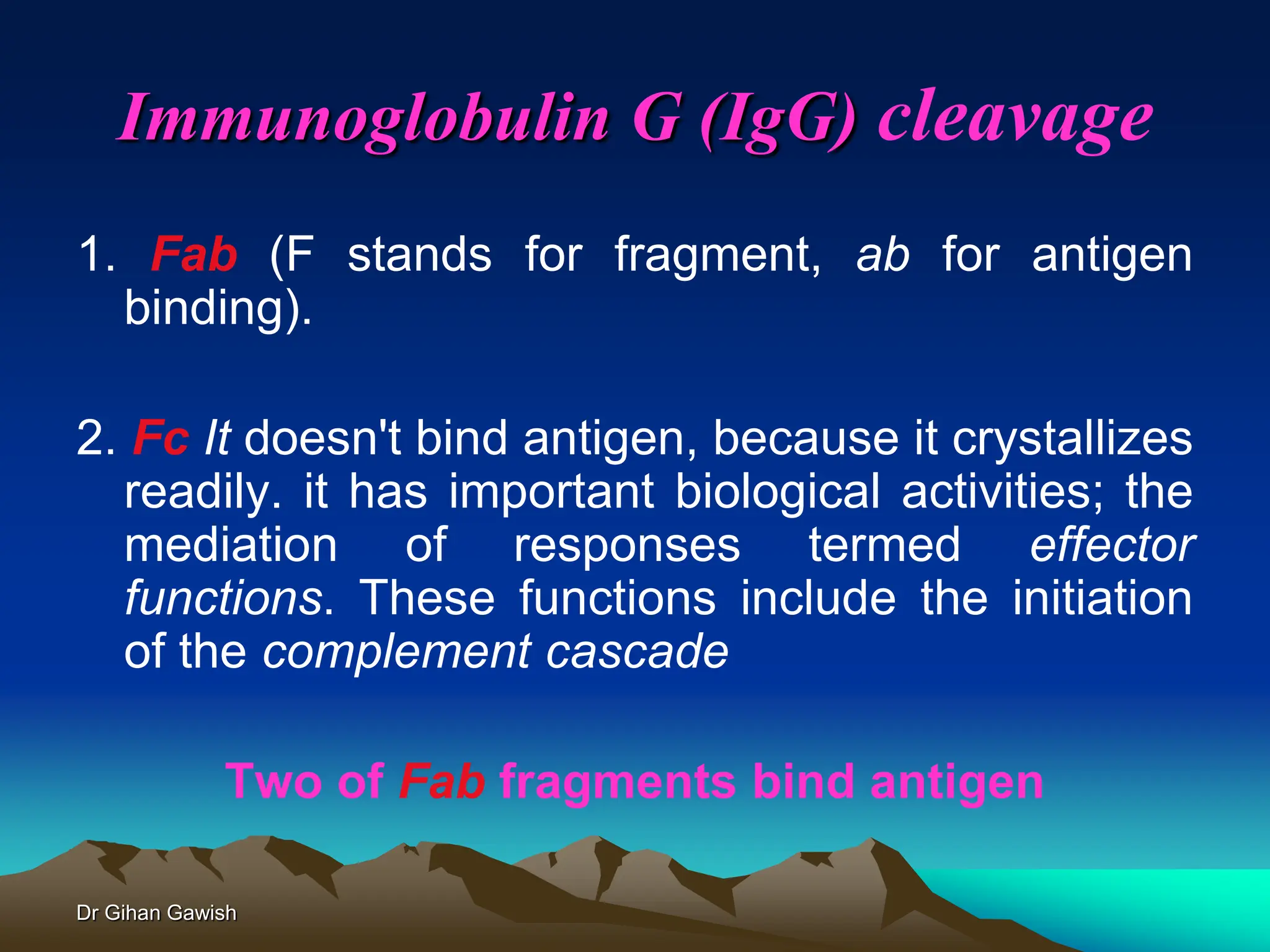 Immunoglobulins A B D E G in Normal Health.ppt