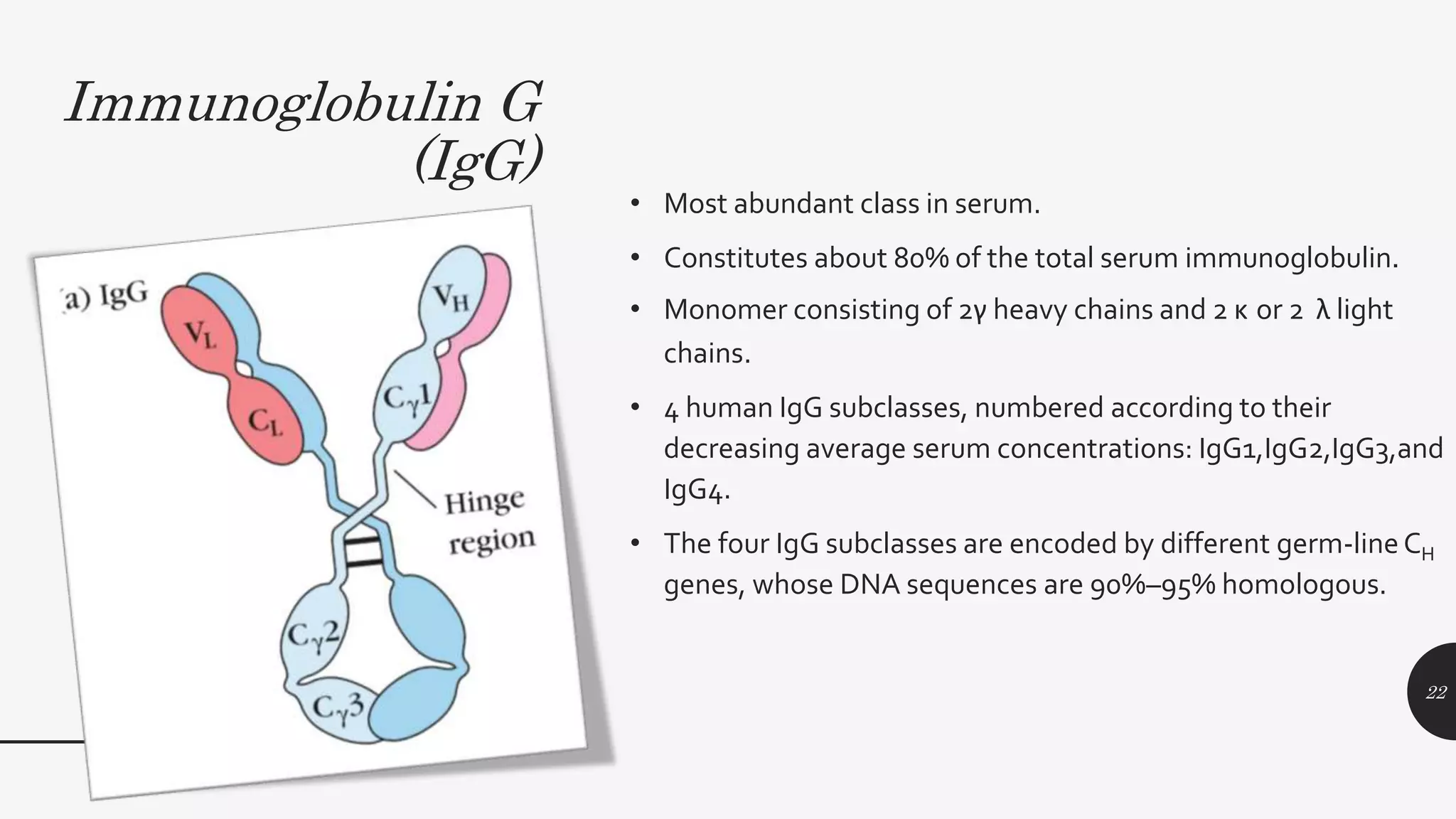 Immunoglobulins – structure, distribution and functions | PPTX
