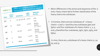 Immunoglobulins – structure, distribution and functions | PPTX