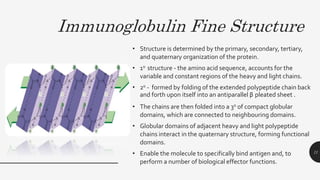 Immunoglobulins – structure, distribution and functions | PPTX