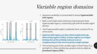 Immunoglobulins – structure, distribution and functions | PPTX
