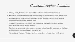 Immunoglobulins – structure, distribution and functions | PPTX