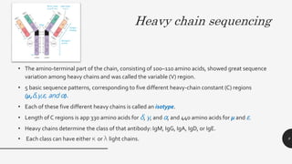 Immunoglobulins – structure, distribution and functions | PPTX