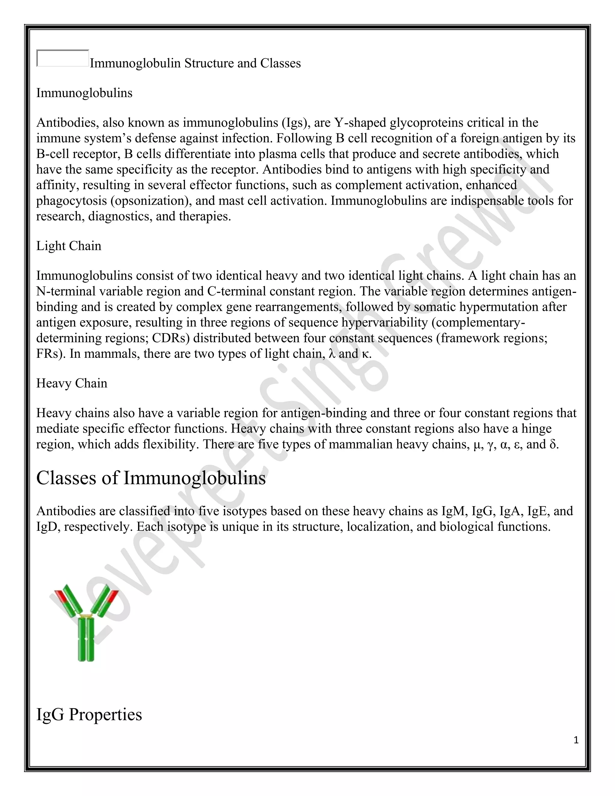 Immunoglobulin Structure and Classes.docx