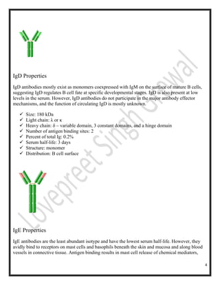 Immunoglobulin Structure and Classes.docx