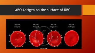 IMMUNOHEMATOLOGY BASICS.pptx