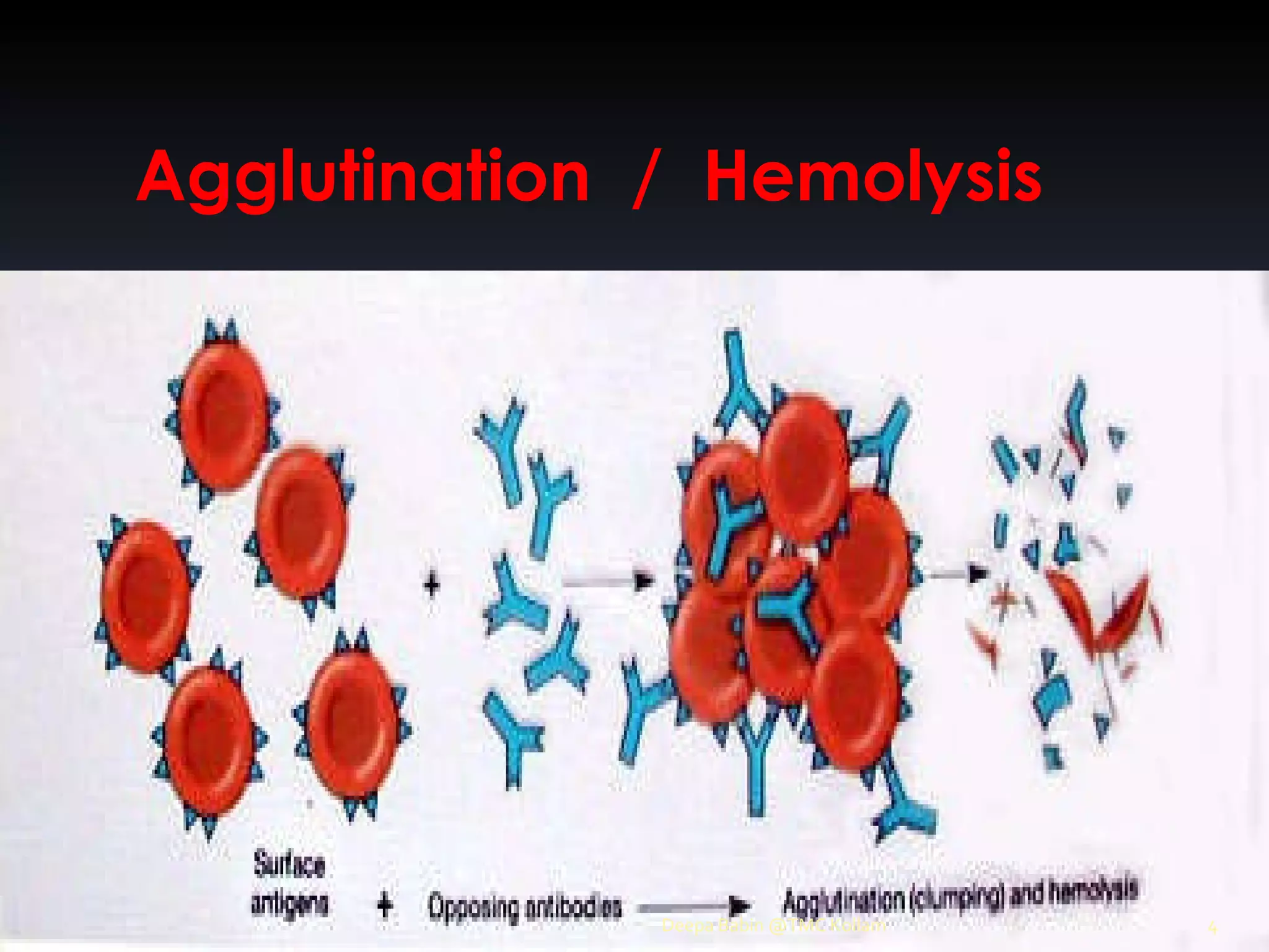 Immunohematology basics | PPT
