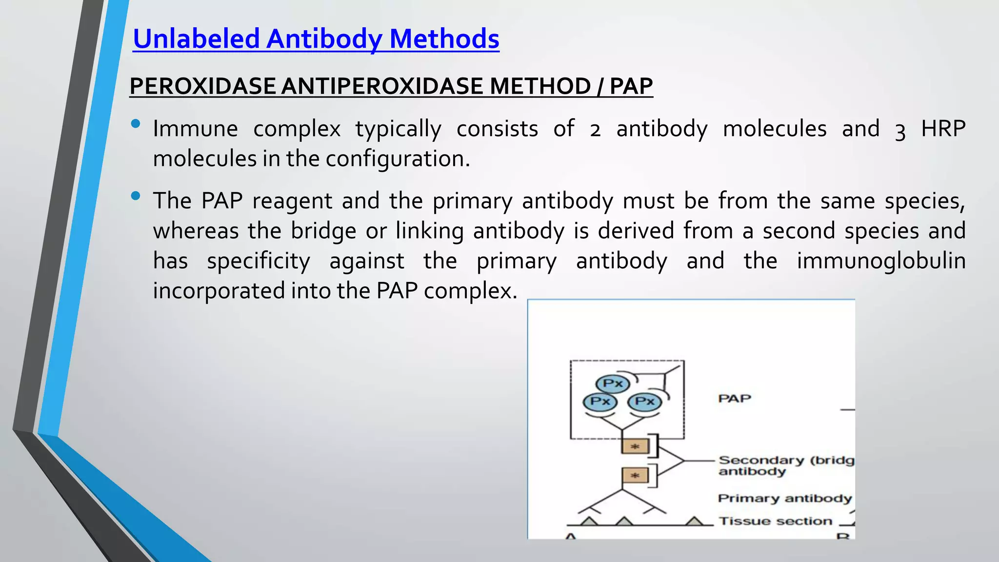 Immunohistochemistry METHODS | PPTX