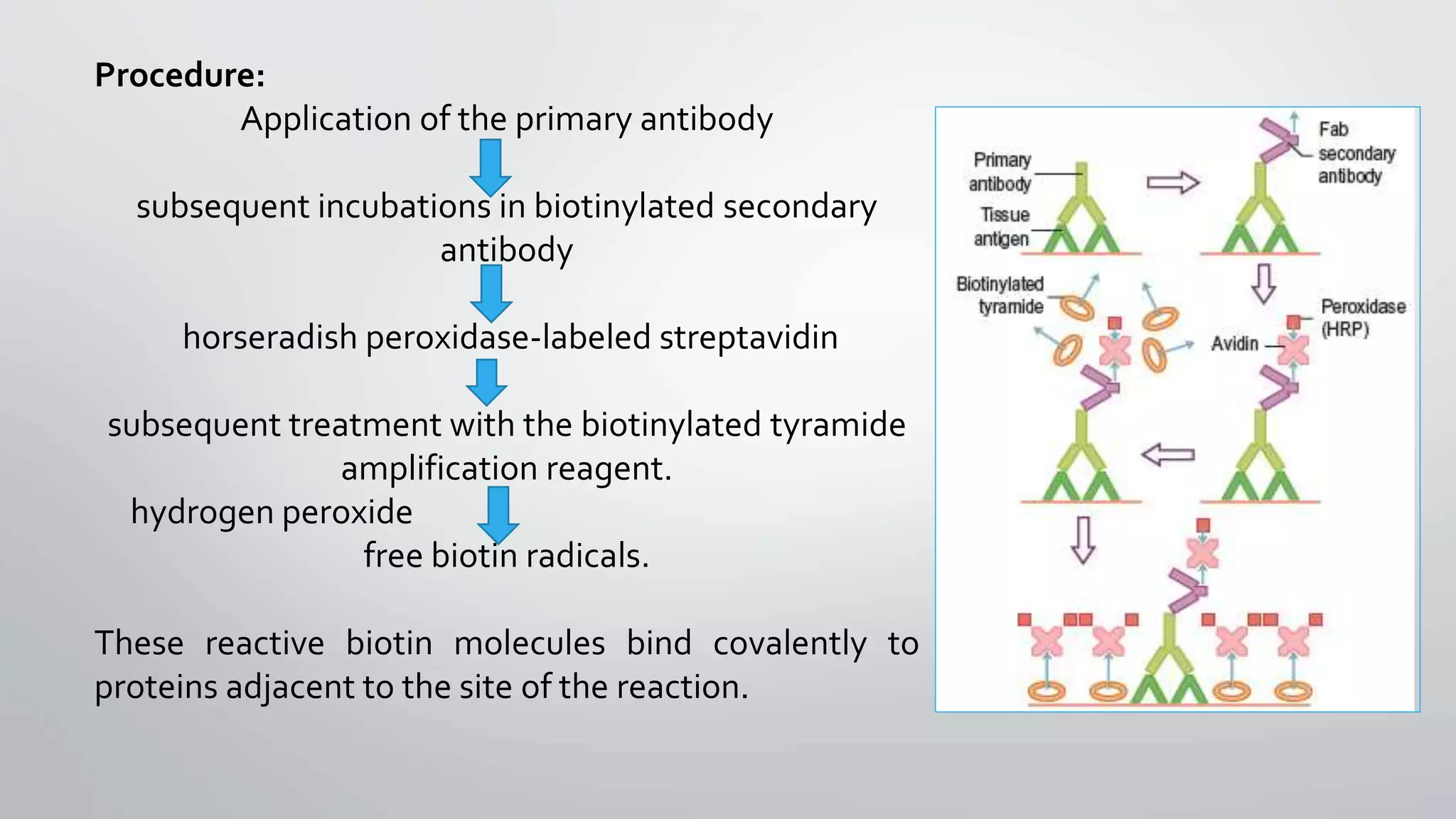 Immunohistochemistry METHODS | PPTX
