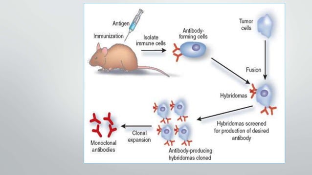 Immunohistochemistry METHODS | PPTX