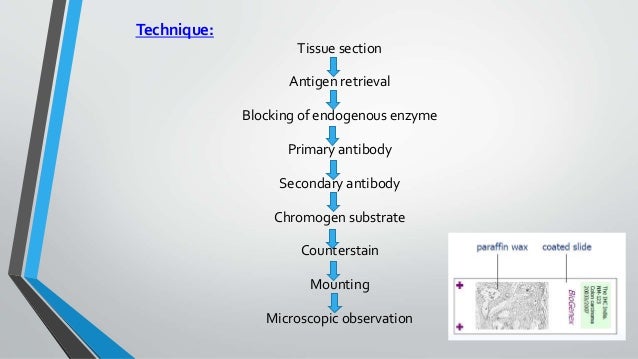 Immunohistochemistry METHODS