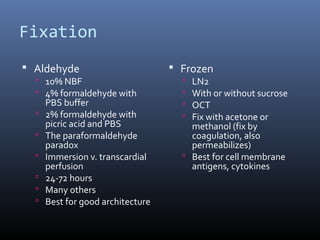 Immunohistochemistry | PPT