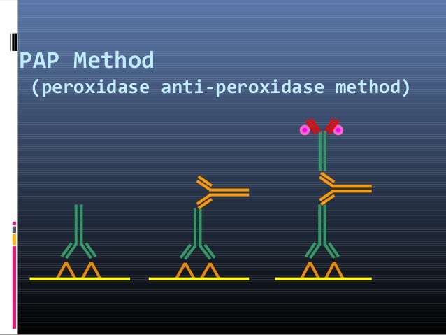 Immunohistochemistry