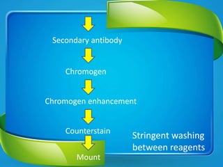 principle of Immunohistochemistry and its use in diagnostics | PPTX