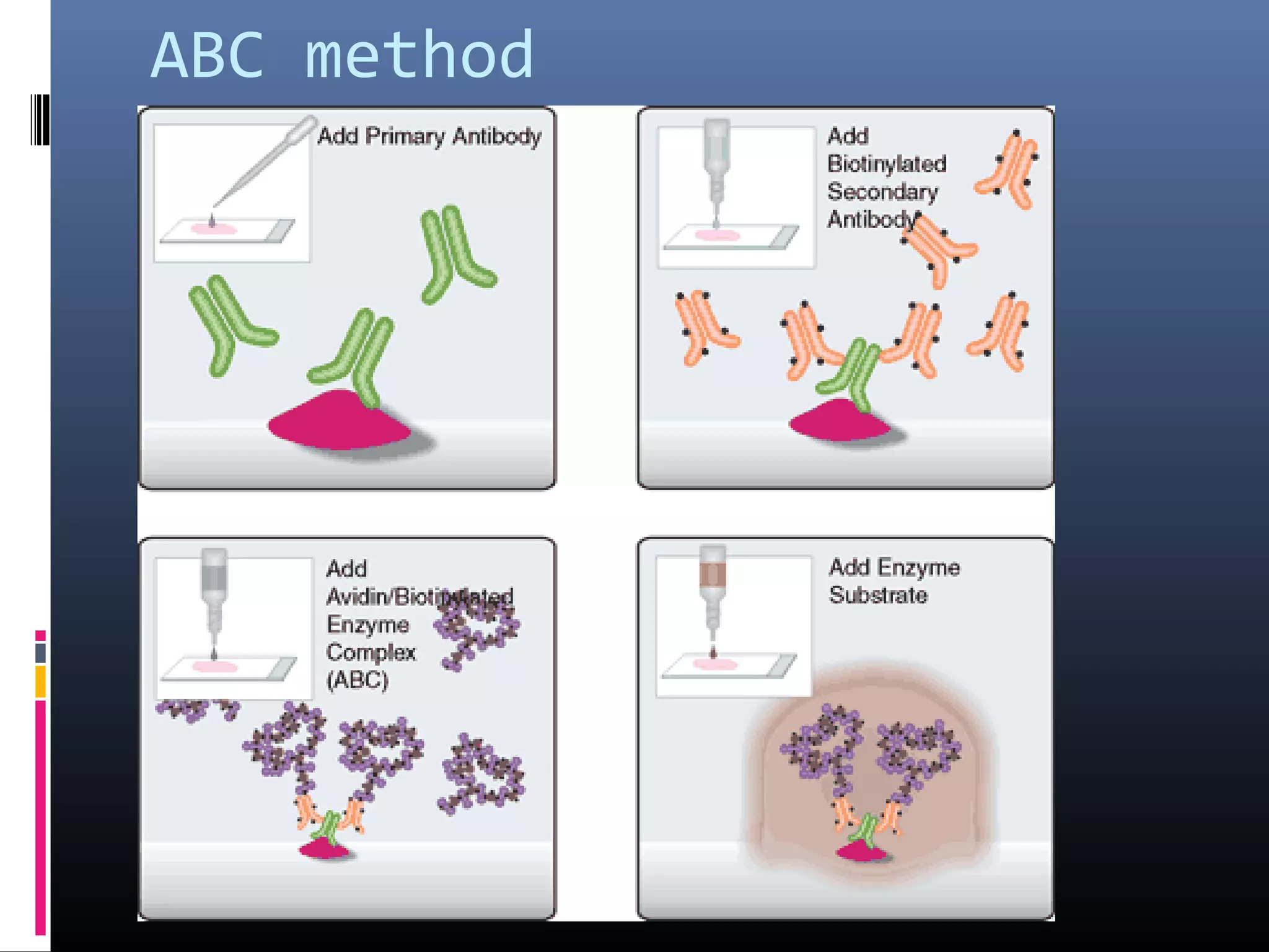 Immunohistochemistry | PPT