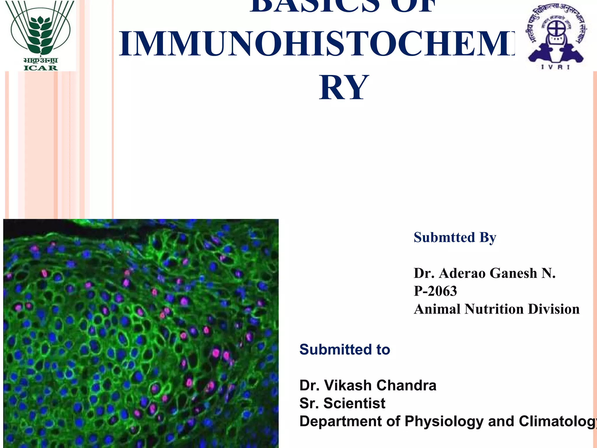 Immunohistochemistry | PPT