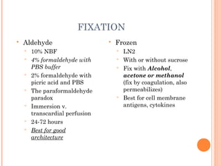 Immunohistochemistry | PPT