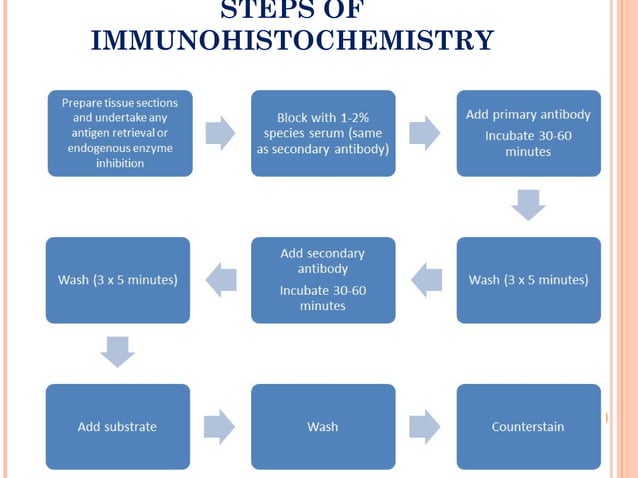 Immunohistochemistry | PPT