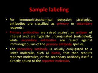 Immunohistochemistry | PPT