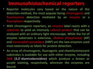Immunohistochemistry | PPT