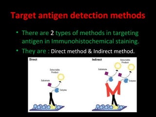 Immunohistochemistry | PPT