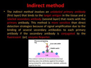 Immunohistochemistry | PPT
