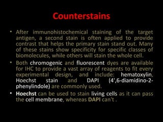 Immunohistochemistry | PPT