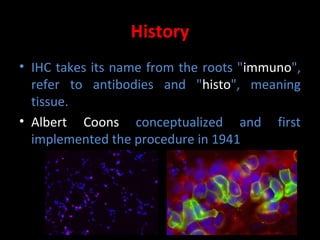 Immunohistochemistry | PPT