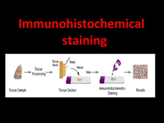 Immunohistochemistry | PPT