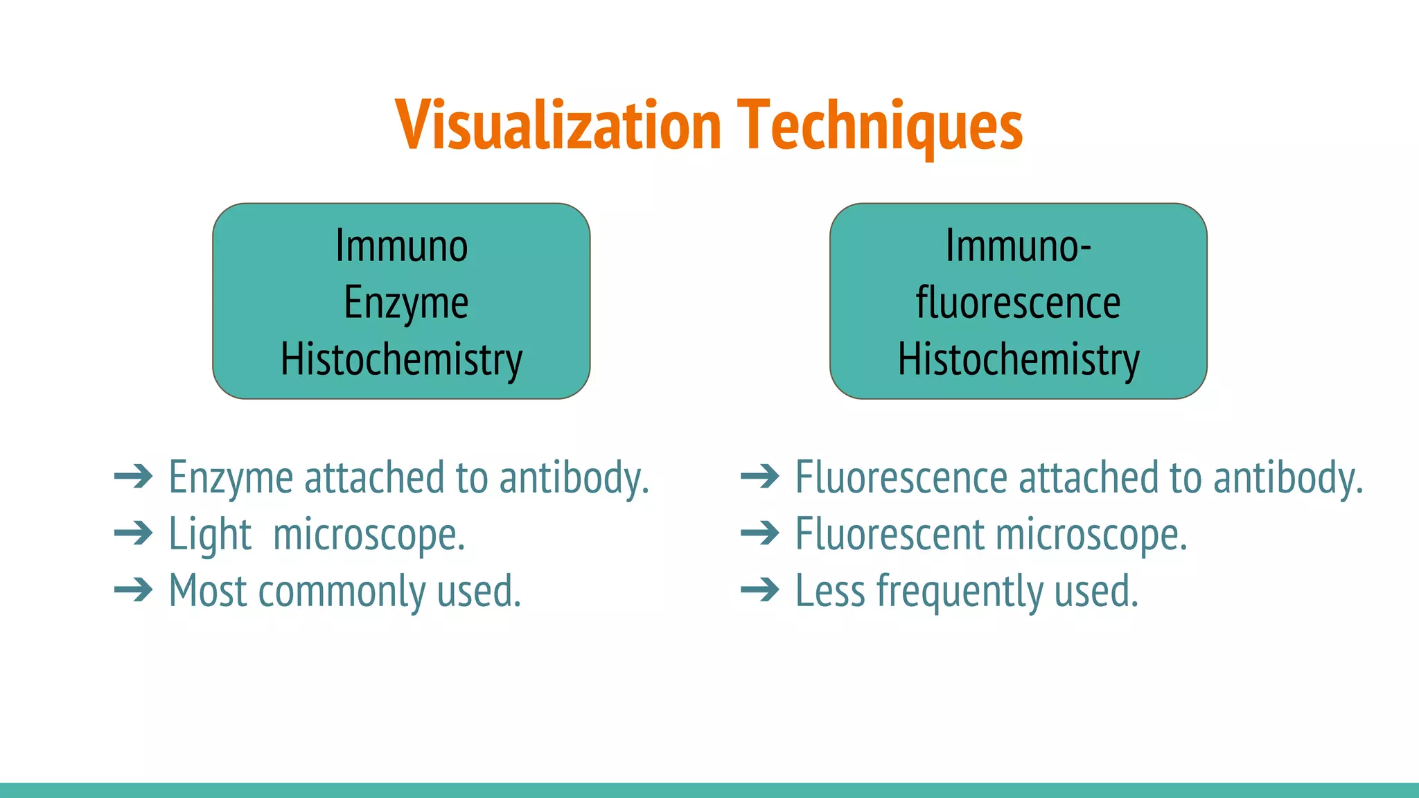 Immunohistochemistry | PPTX