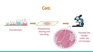 Immunohistochemistry | PPTX
