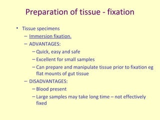 Immunohistochemistry | PPT