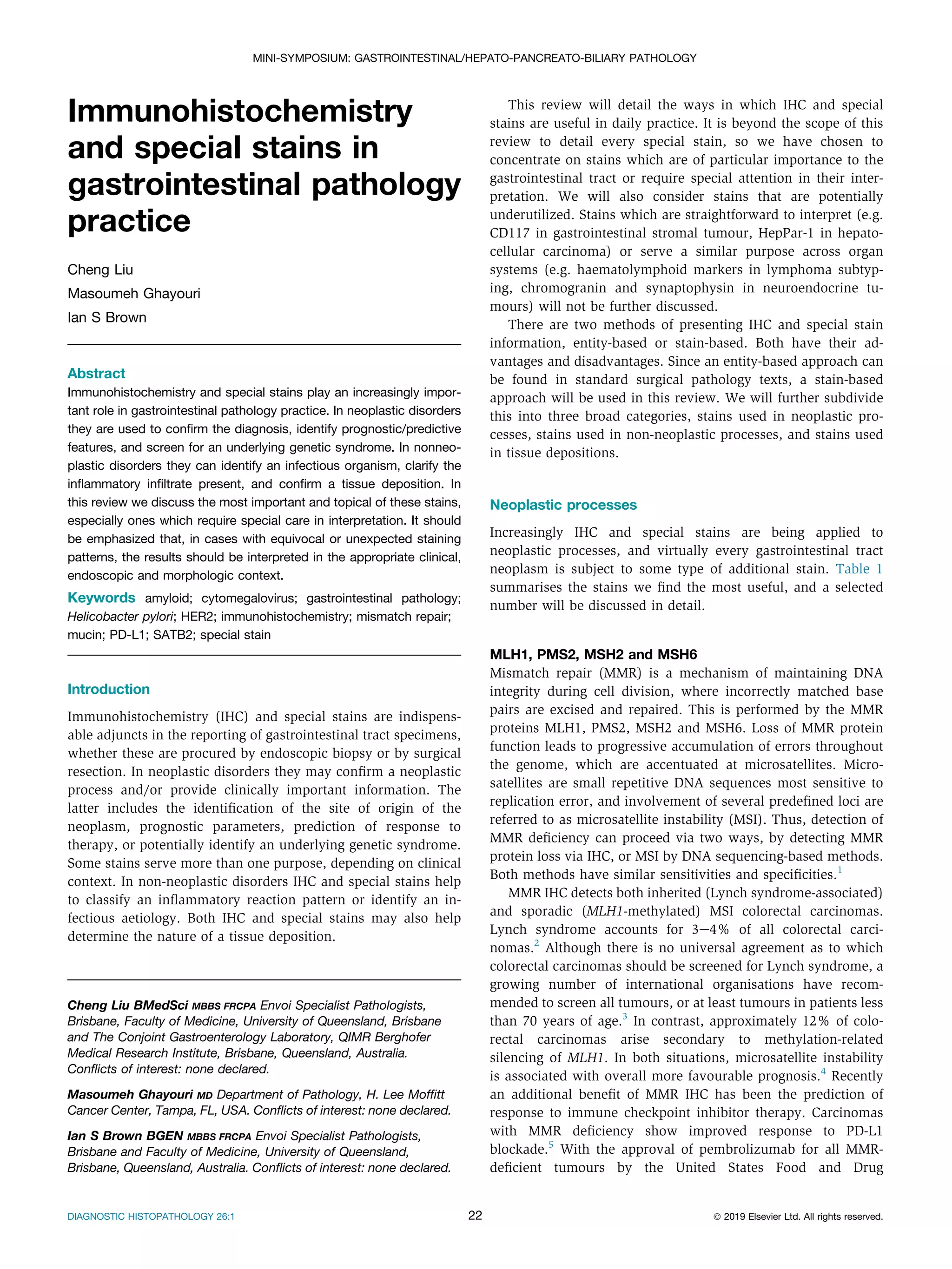 Immunohistochemistry and special stains in gastrointestinal pathology ...