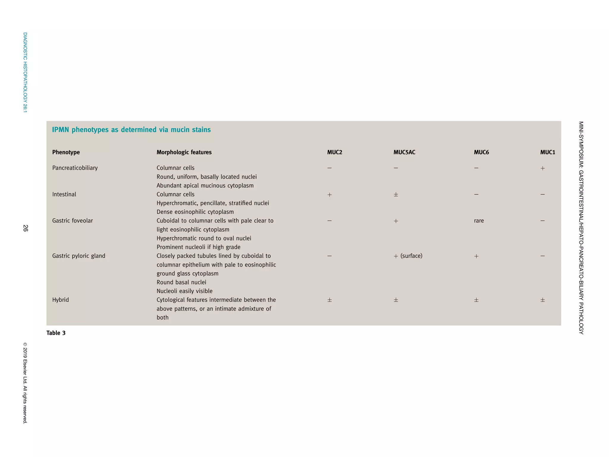 Immunohistochemistry and special stains in gastrointestinal pathology ...