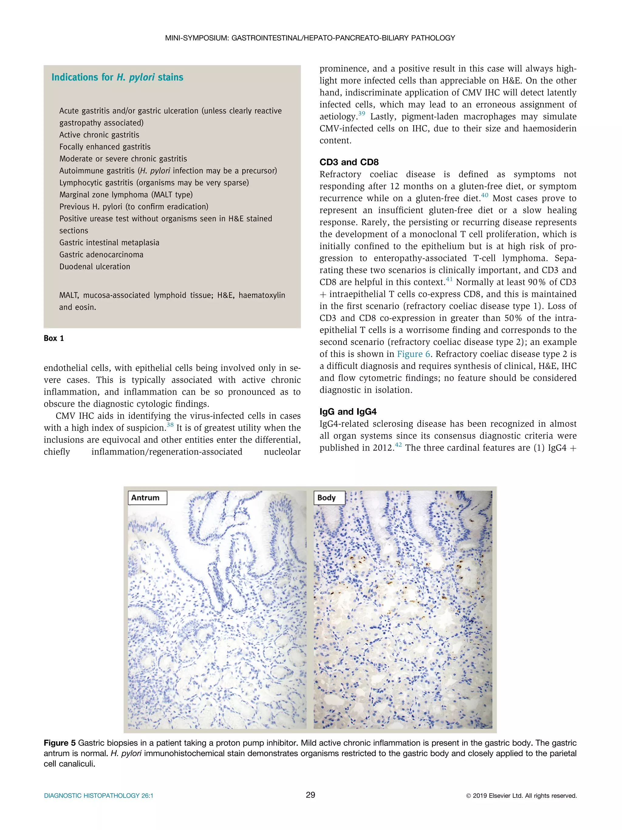 Immunohistochemistry and special stains in gastrointestinal pathology ...