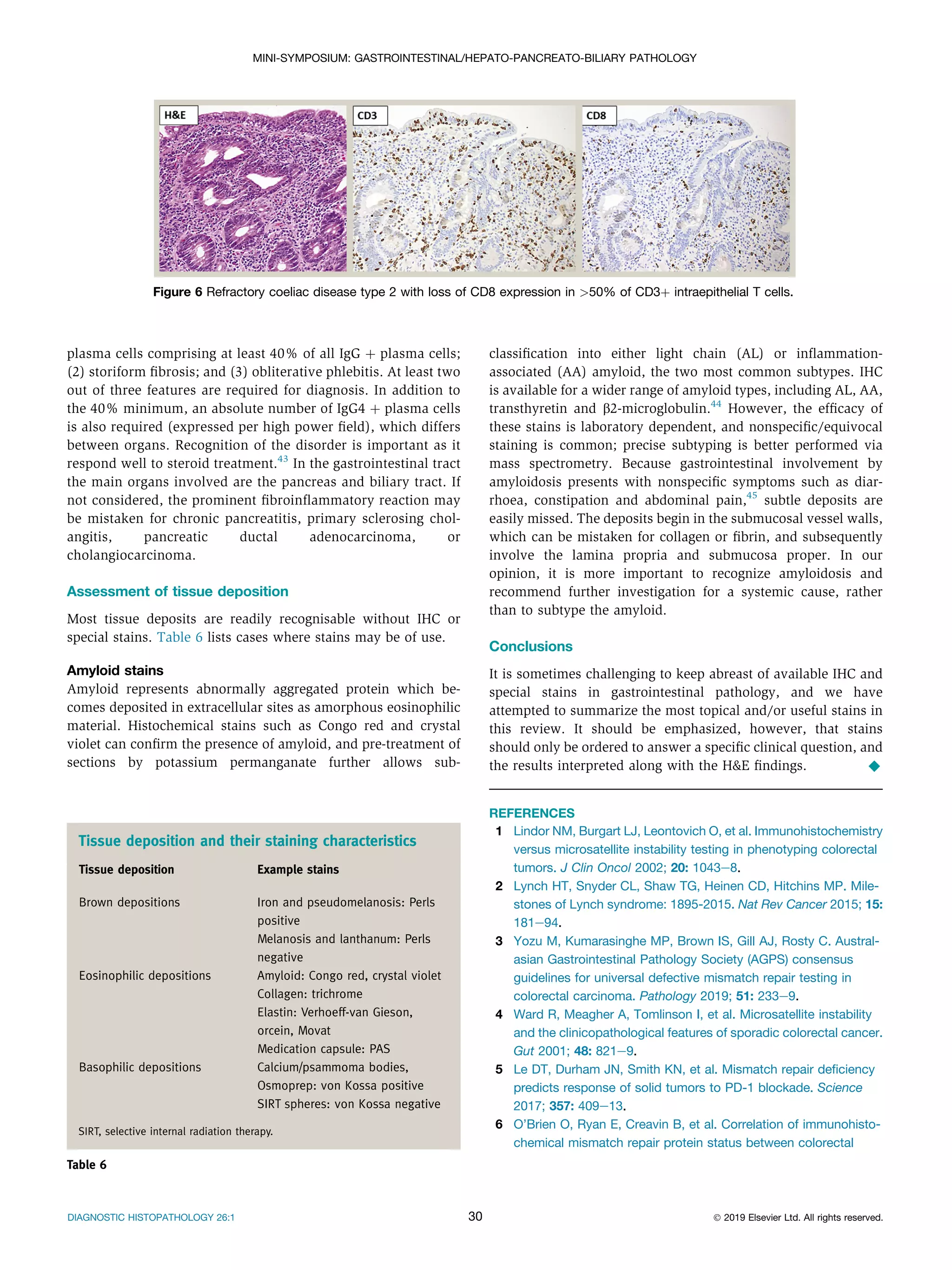 Immunohistochemistry and special stains in gastrointestinal pathology ...