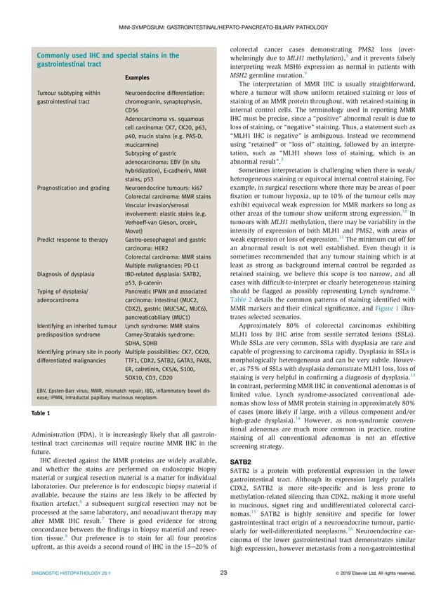 Immunohistochemistry and special stains in gastrointestinal pathology ...