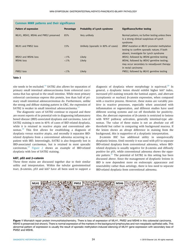 Immunohistochemistry and special stains in gastrointestinal pathology ...