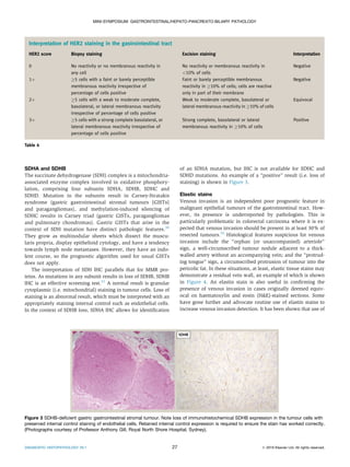 Immunohistochemistry and special stains in gastrointestinal pathology ...