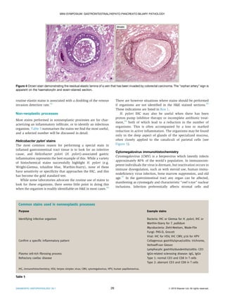 Immunohistochemistry and special stains in gastrointestinal pathology ...