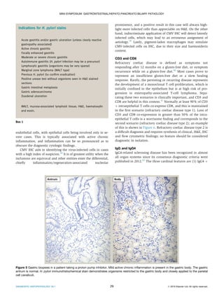 Immunohistochemistry and special stains in gastrointestinal pathology ...