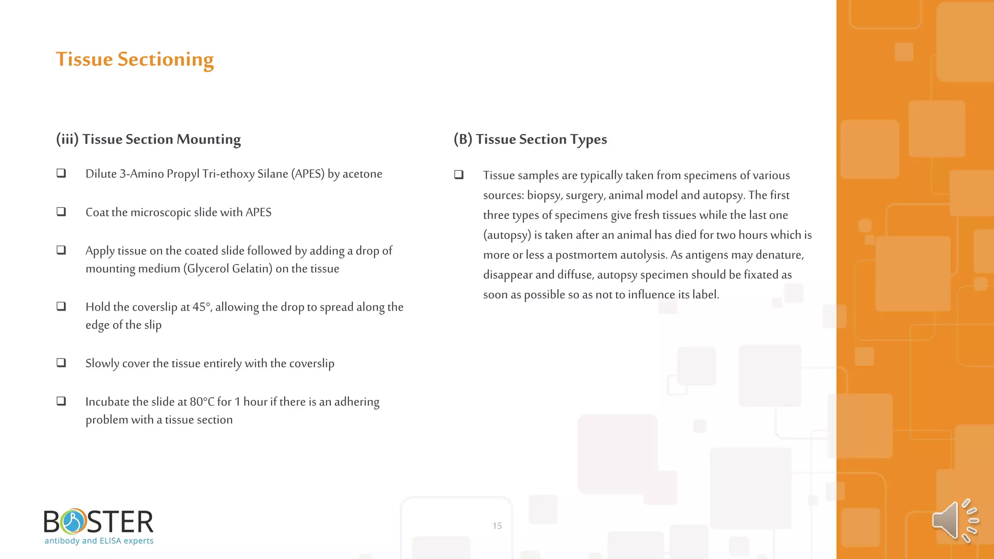 Immunohistochemistry (IHC) Principle | PPTX